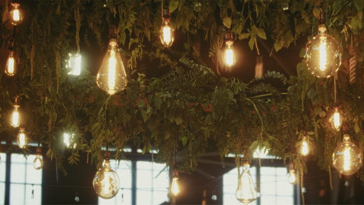 Curated Work - Zach Boyce